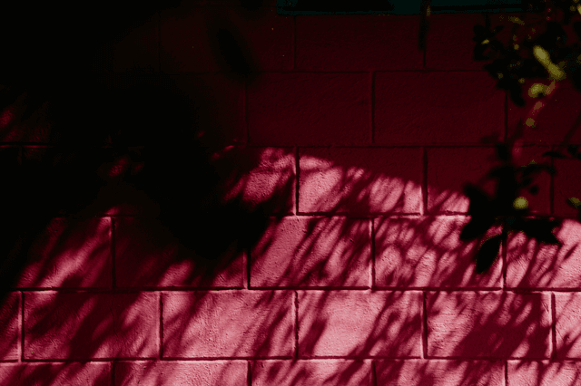 About us - Aruba Tourism Authority